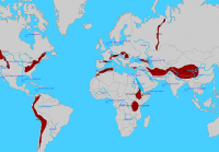 Topografie Wereldkaart - zeeën rivieren en gebergten | www.topomania.net