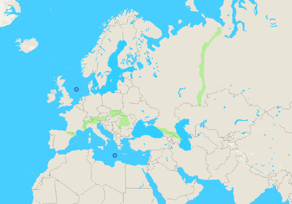 Topografie Europa Referentiekaart | www.topomania.net